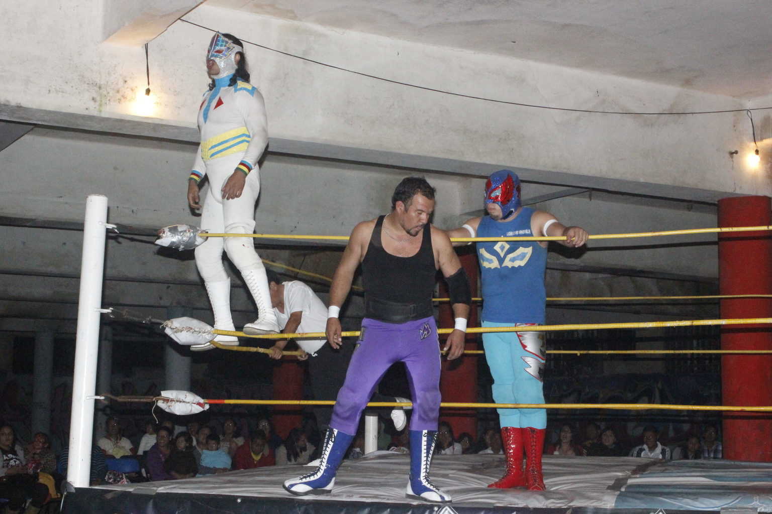 Boom de Lucha Libre en Xalapa