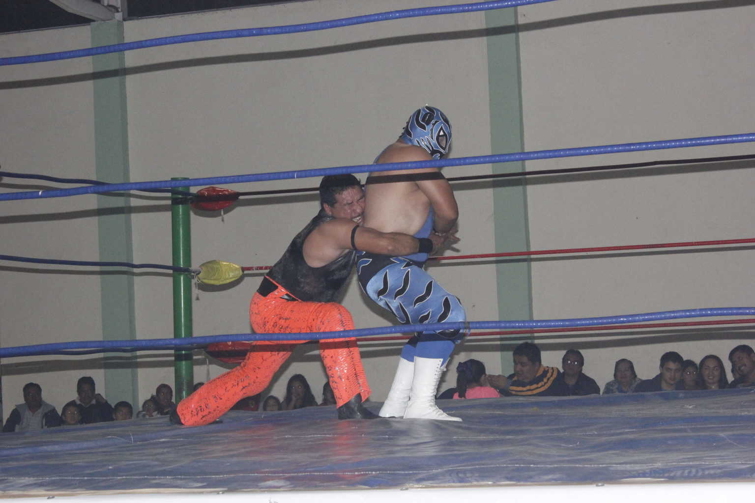 Mr. Coyote destapa a Zafiro.