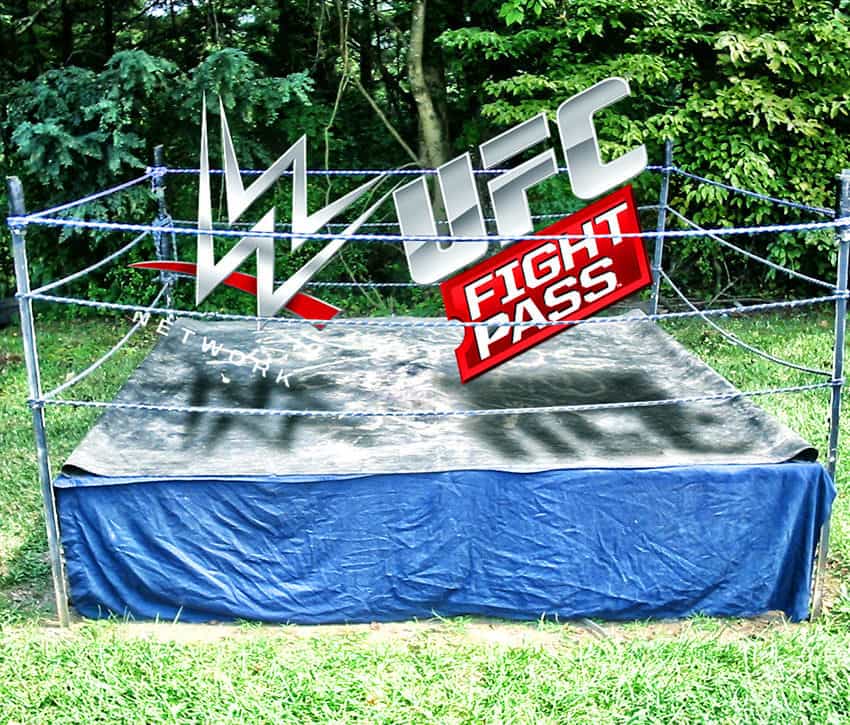 WWE Network vs. UFC Fight Pass. ¿Cuál es el mejor? | Superluchas