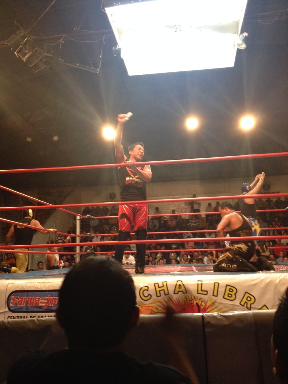 Lucha Libre BOOM: Resultados 27/06/2015 - L.A. Park se impone a Rush en ...