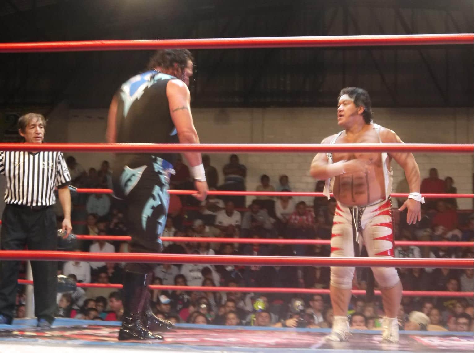 Lucha Libre BOOM: Resultados 27/06/2015 - L.A. Park se impone a Rush en ...