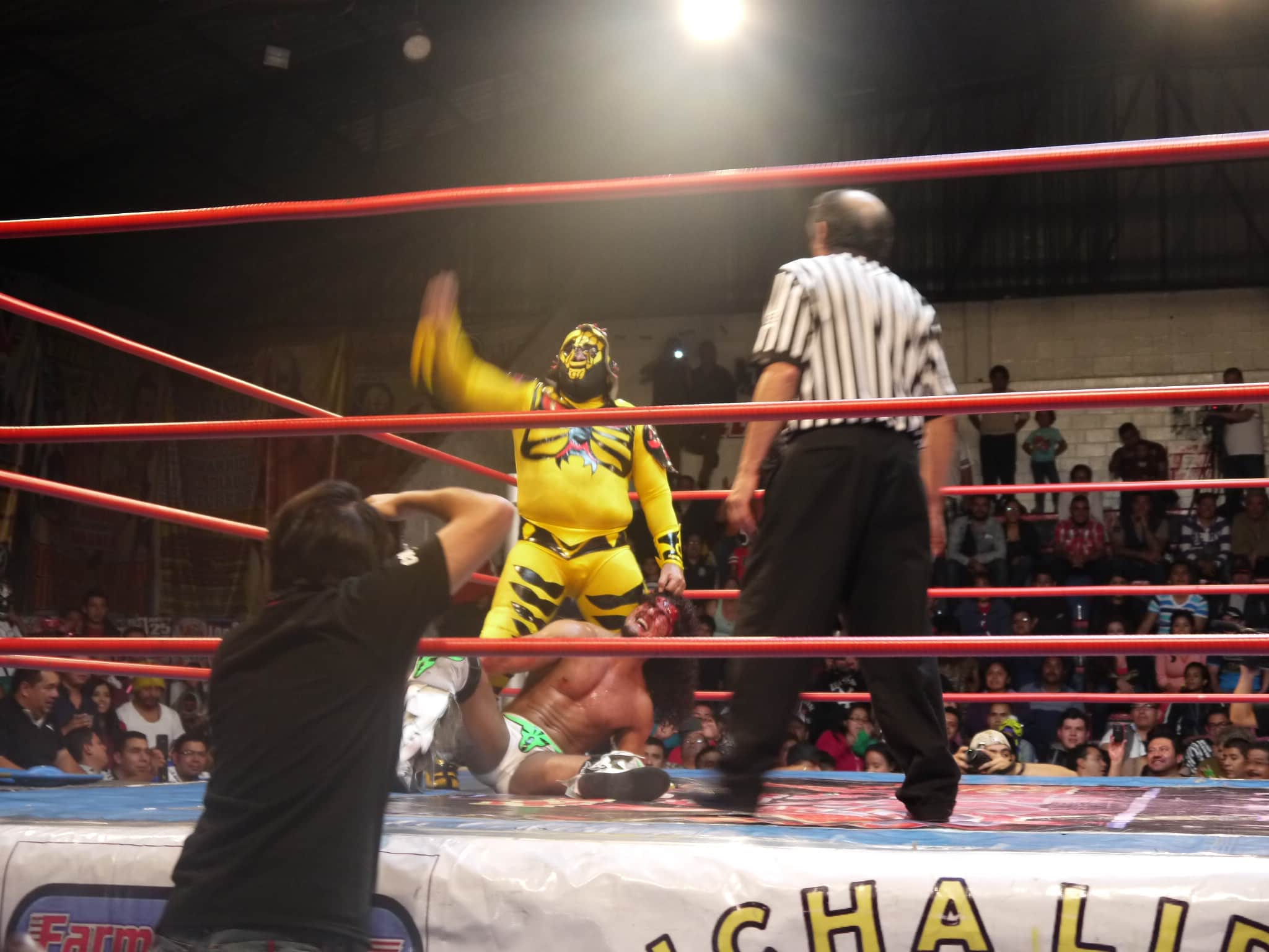 Lucha Libre BOOM: Resultados 27/06/2015 - L.A. Park se impone a Rush en ...