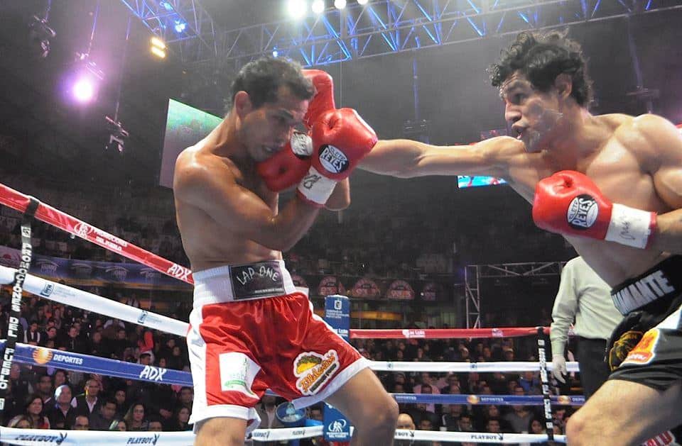 Adrián estrella inicia 2016 con victoria | Superluchas