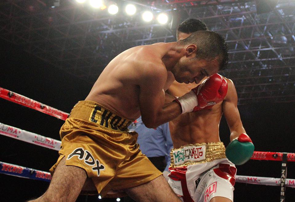 El «Mexicanito» Kameda vence en un round | Superluchas