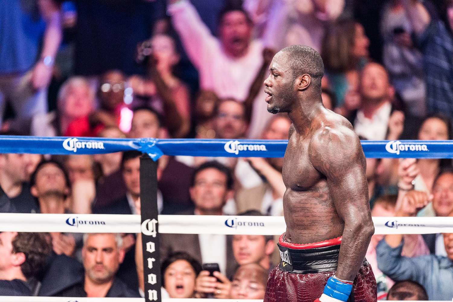 Deontay Wilder de vuelta al entrenamiento | Superluchas