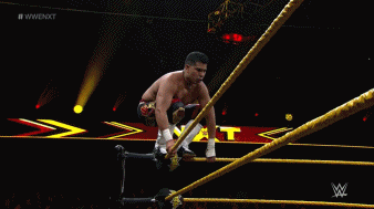 ¿Qué luchadores de NXT están listos para descender? - TIM Wrestling