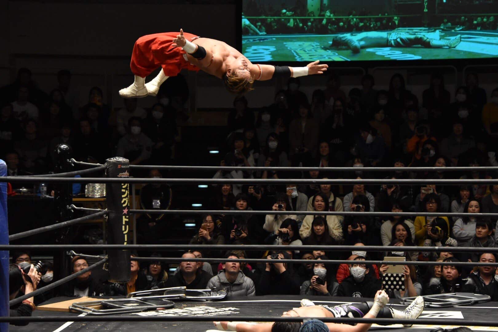 DDT: Resultados Damnation Fuho Shukai Vol. 2 - Yuko Miyamoto nuevo ...