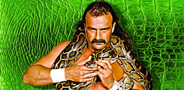 ¿Estará Jake «The Snake» Roberts en el Raw 25 Aniversario?