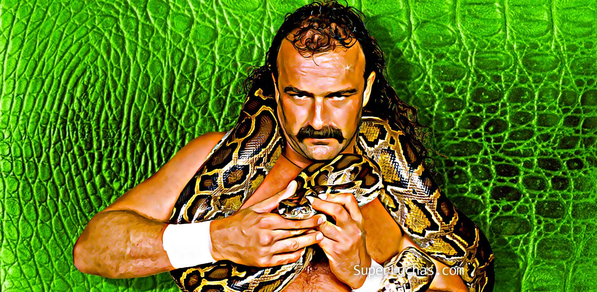 Jake The Snake Roberts Costume