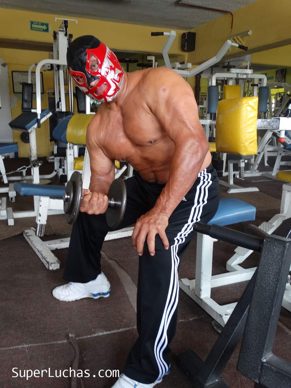 Entrevista a Canek: «La Liga Elite esta descartada por el momento ...