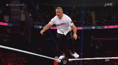 Resultados Elimination Chamber (17-02-19) — Dieciocho al patíbulo