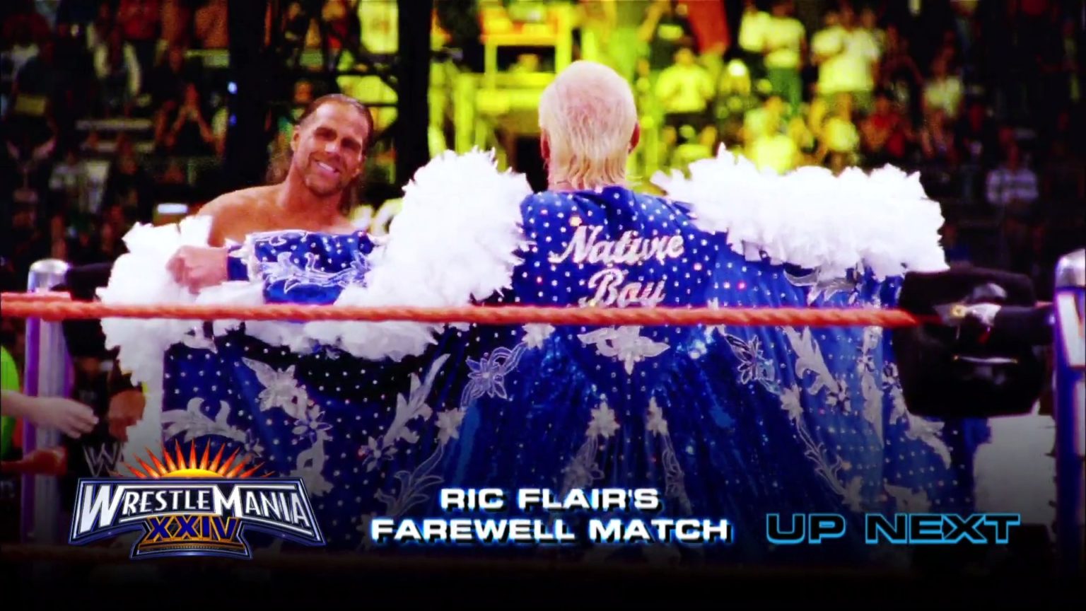 El combate de retiro de Ric Flair: ¿Por qué fue en TNA?