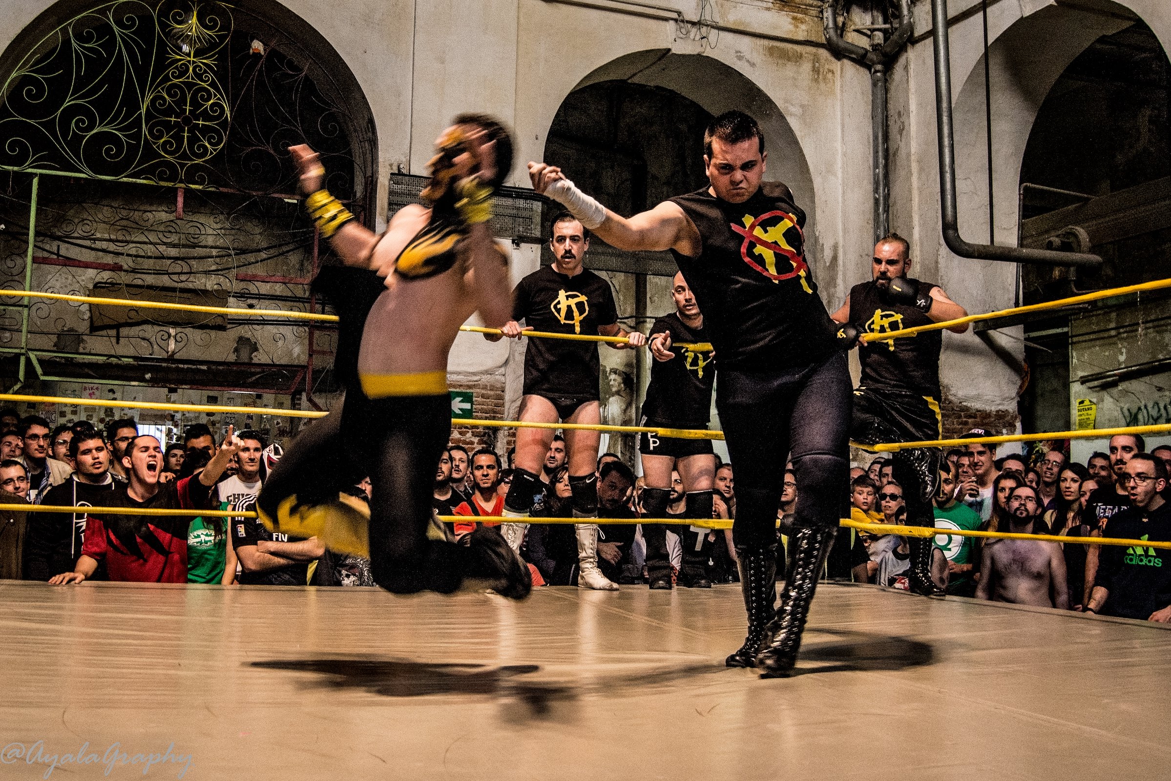 Resultados Triple W (@La_TripleW) | Superluchas