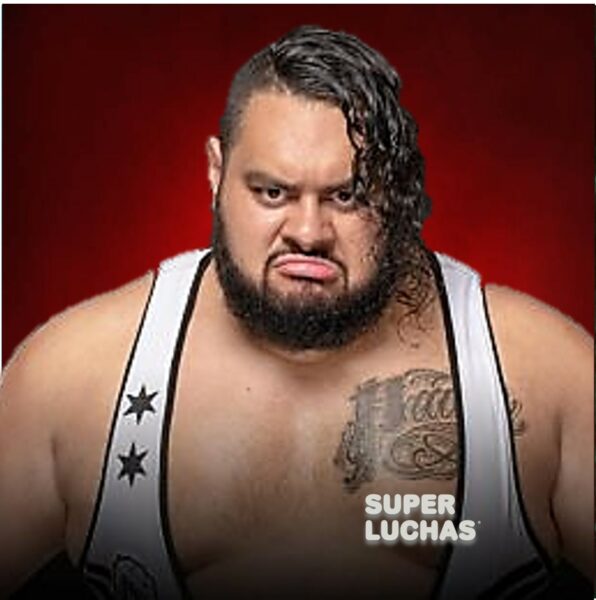 Jonah Rock y Alex Shelley, primeros participantes para el torneo BOLA ...