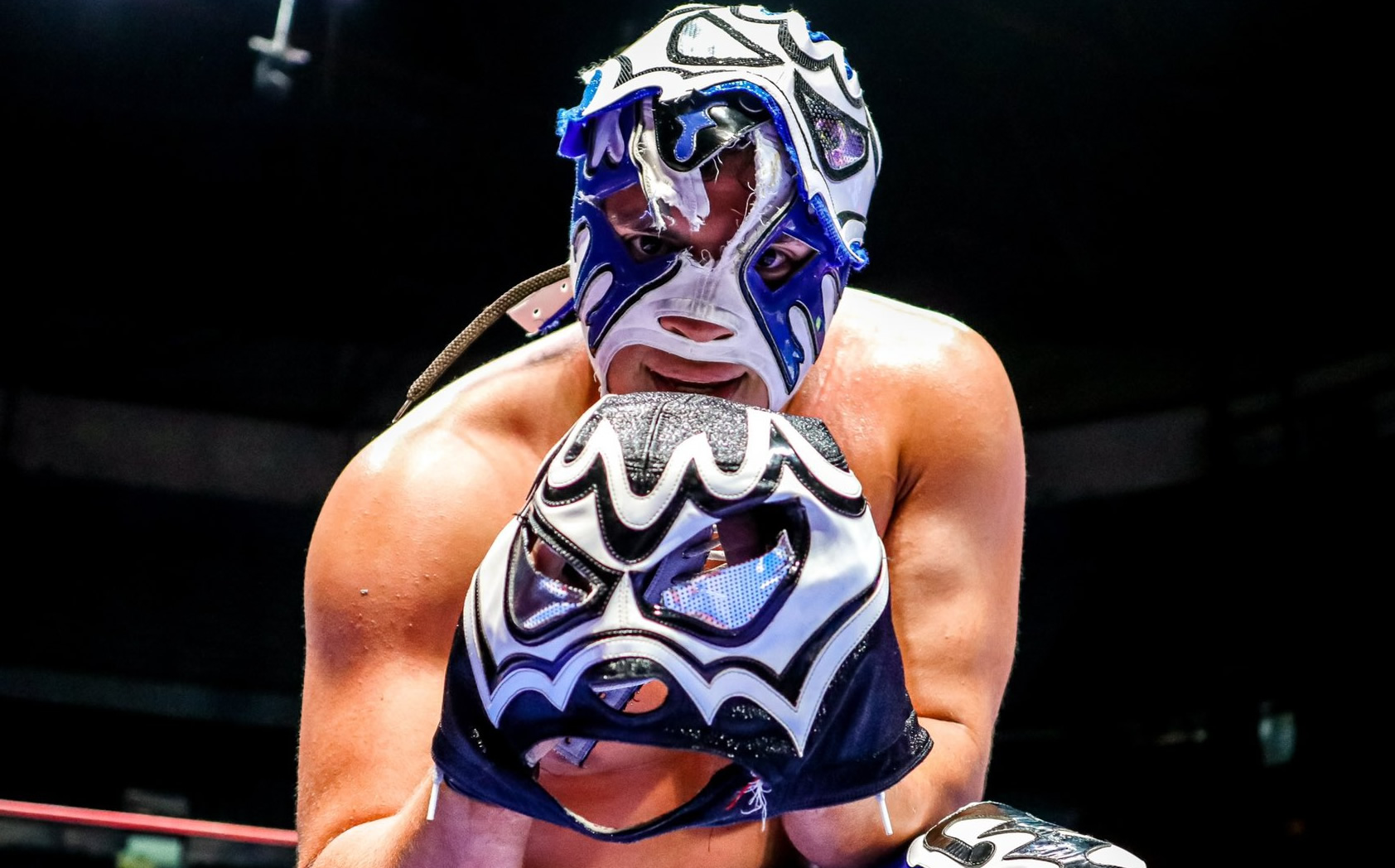 CMLL: Atlantis Jr. y Euforia en peligrosa rivalidad ¿Se jugarán las ...