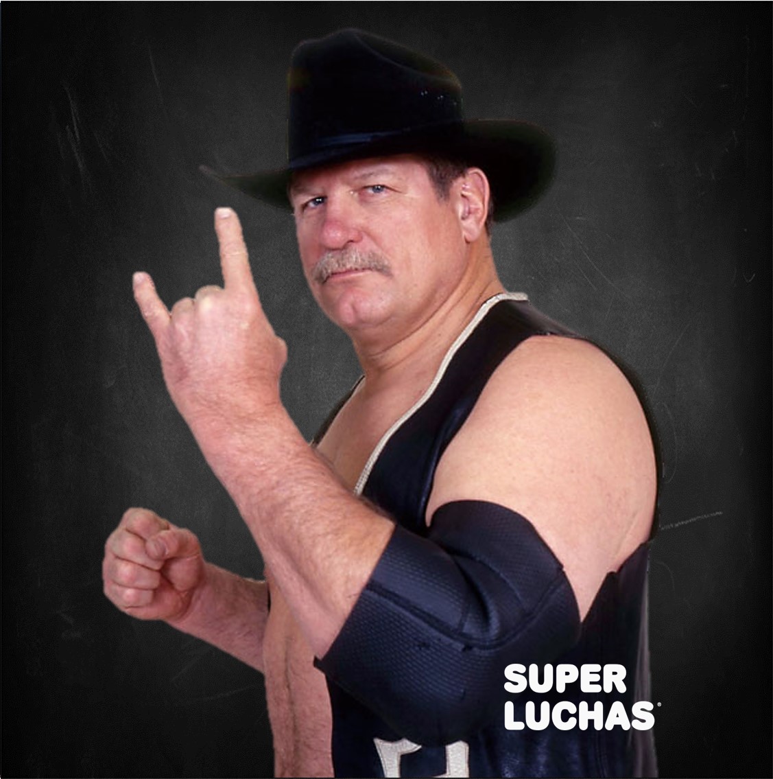 Stan Hansen padece COVID-19; cancela su participación en Japón ...