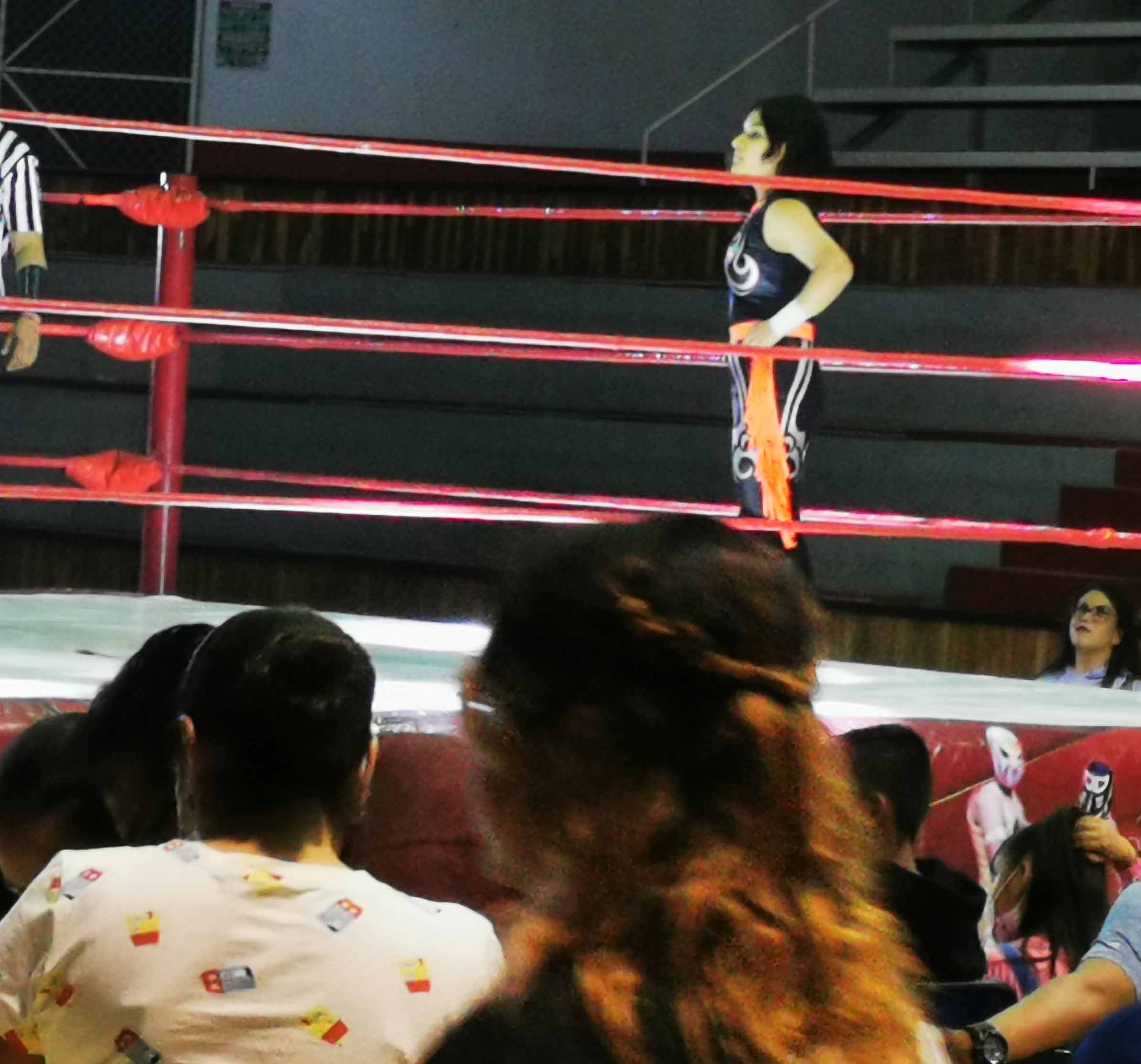 Resultados X-LAW en San Martín Texmelucan: Triangular muy perro ...