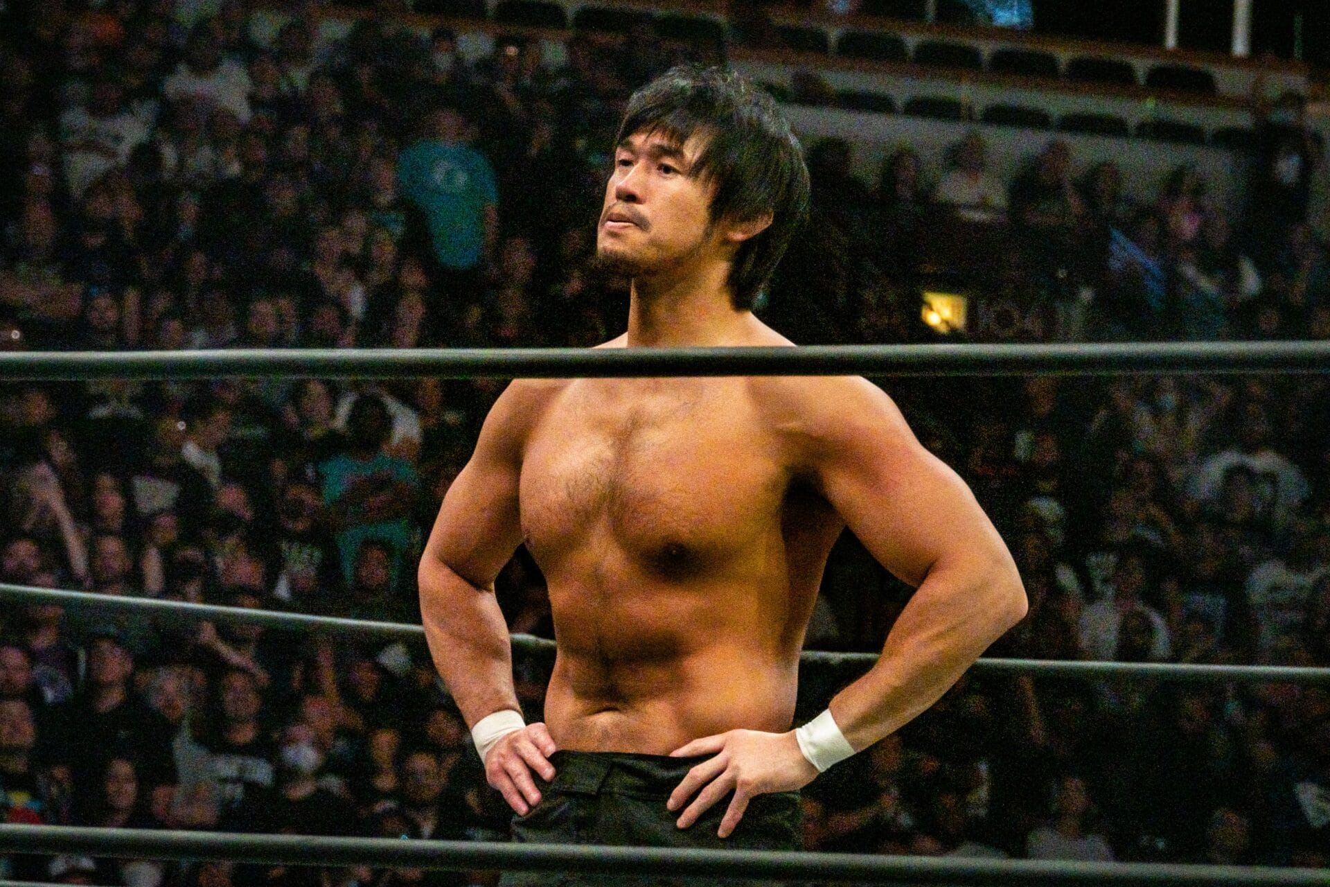 NJPW, muy enojada con Katsuyori Shibata | Superluchas NJPW, muy enojada con Katsuyori Shibata | Superluchas