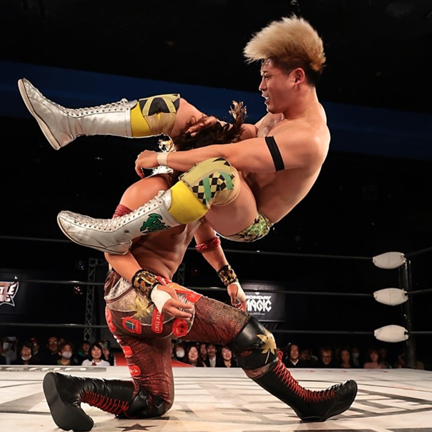 NOAH: Vuelve «Monday Magic», aparece Giulia | Superluchas