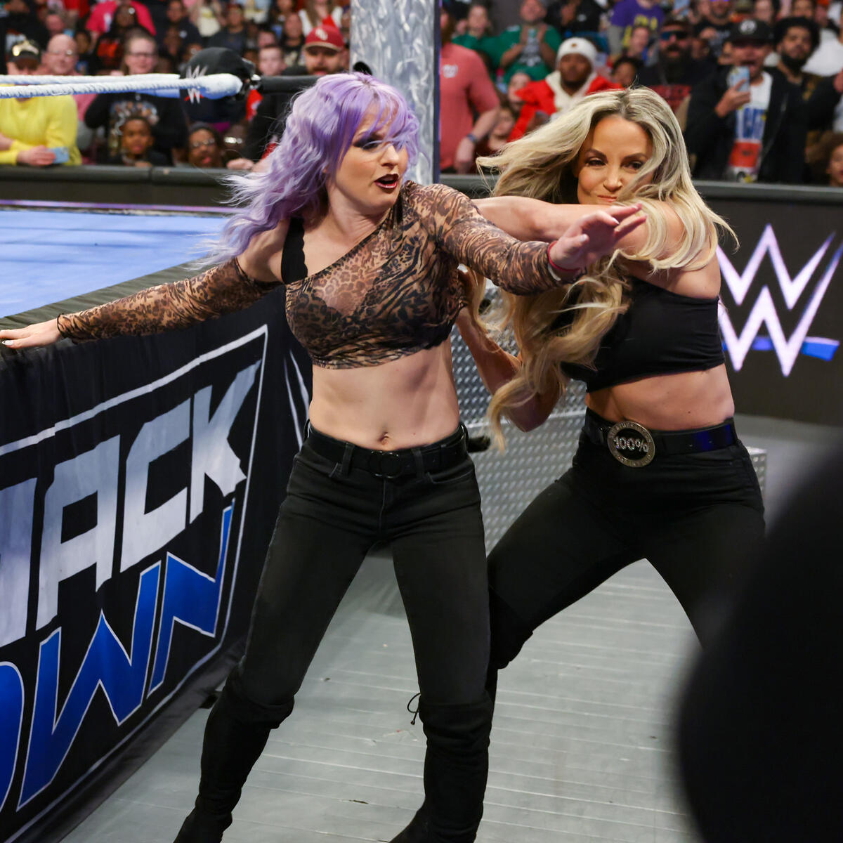 Trish Stratus tendría lucha de duplas en Elimination Chamber