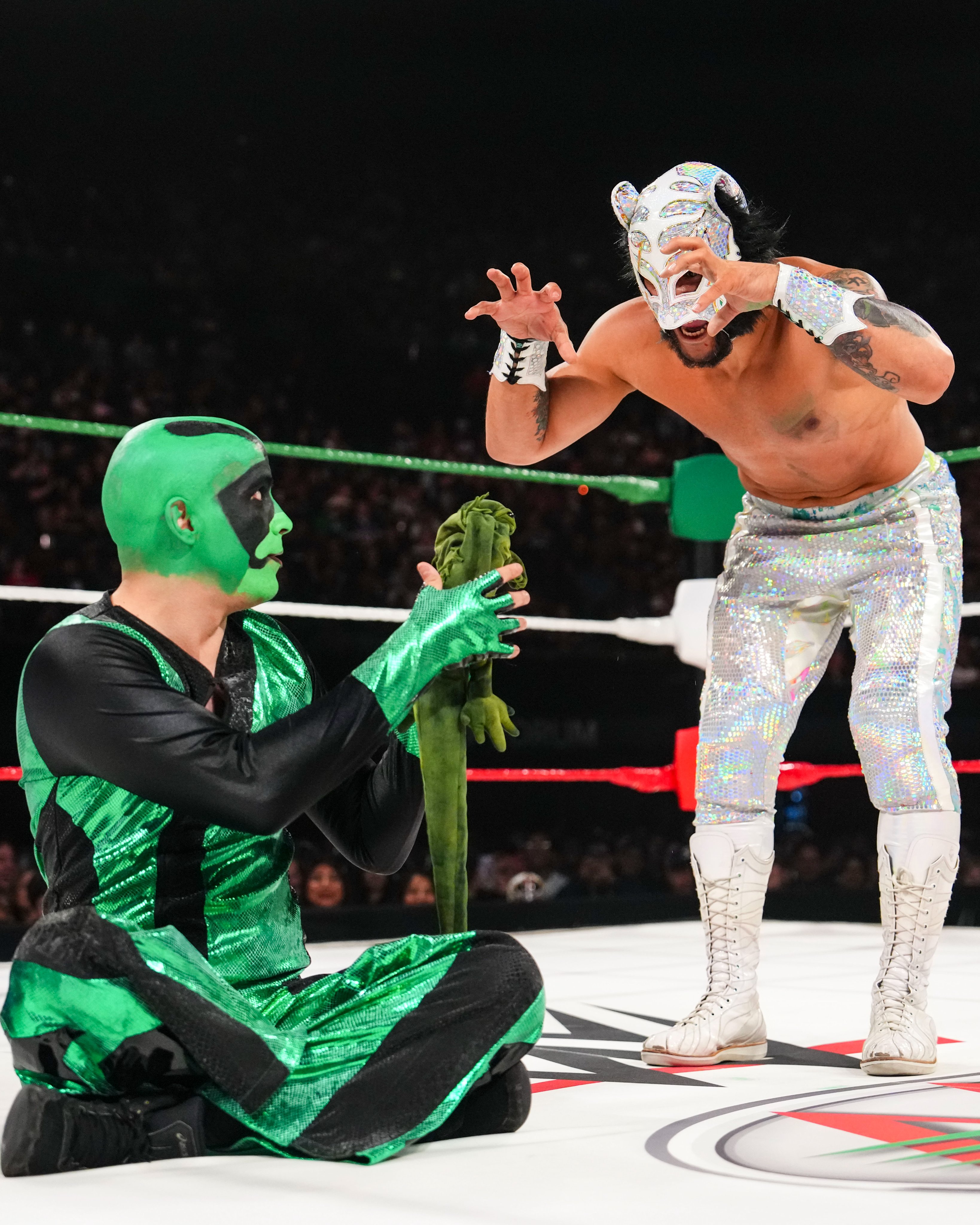 Mr. Iguana da grandes visitas al YouTube de WWE | Superluchas