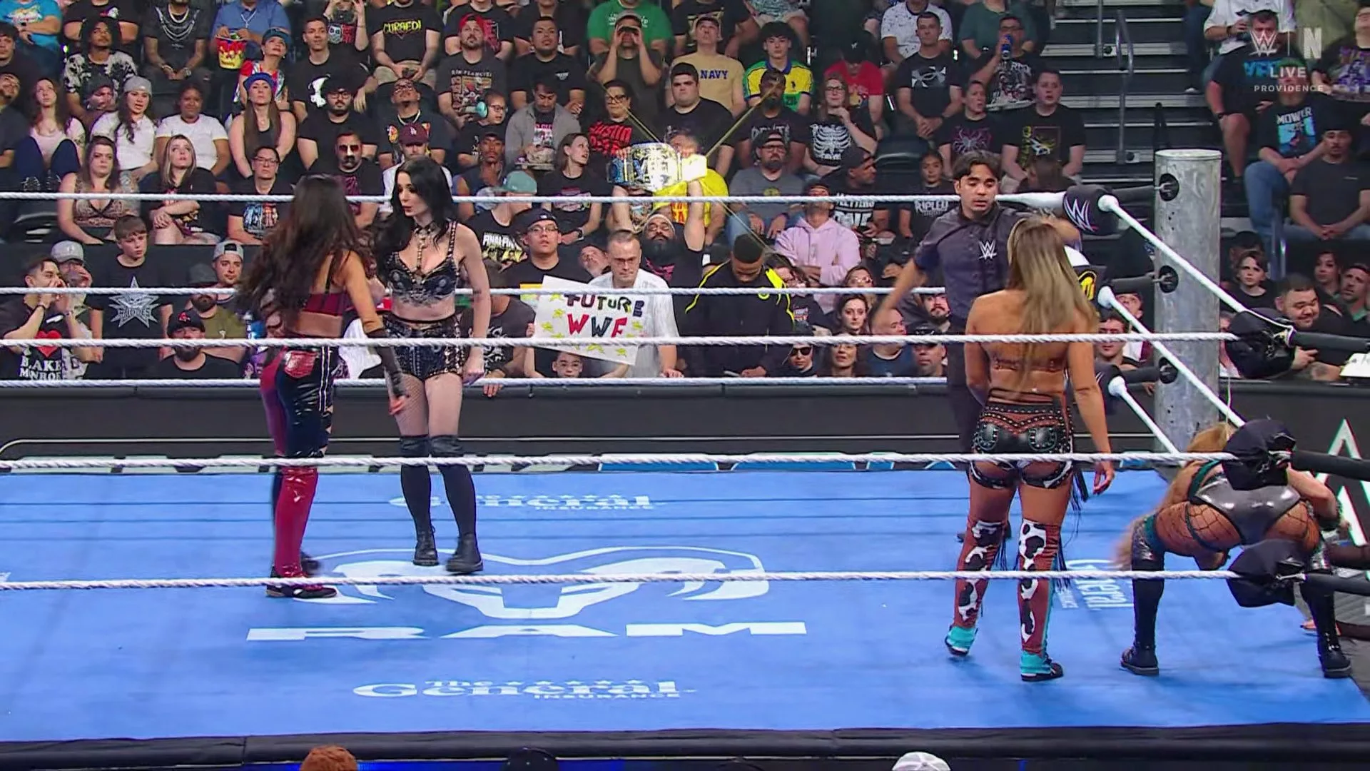 SmackDown: Paige y Brie Bella vencieron a Fallon Henley y Lainey Reid ...