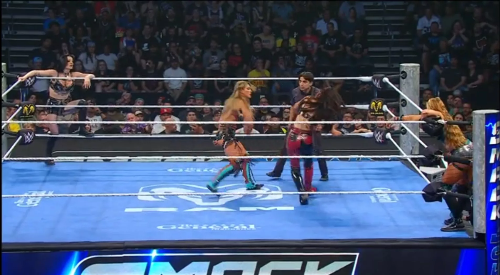 SmackDown: Paige y Brie Bella vencieron a Fallon Henley y Lainey Reid ...