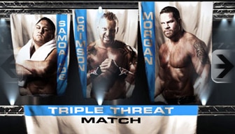 Cartel Final del PPV TNA Bound For Glory 2011 – Lucha de Iconos: Hulk ...