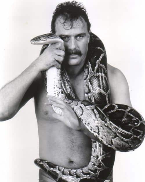 Jake Roberts: «El 85% de AEW no será recordado» | Superluchas